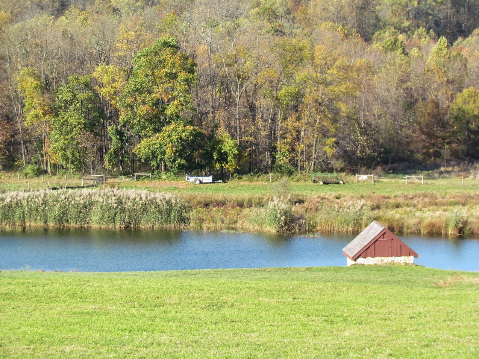 22nd & Philly: Fall Day Trip Idea: Wyebrook Farm