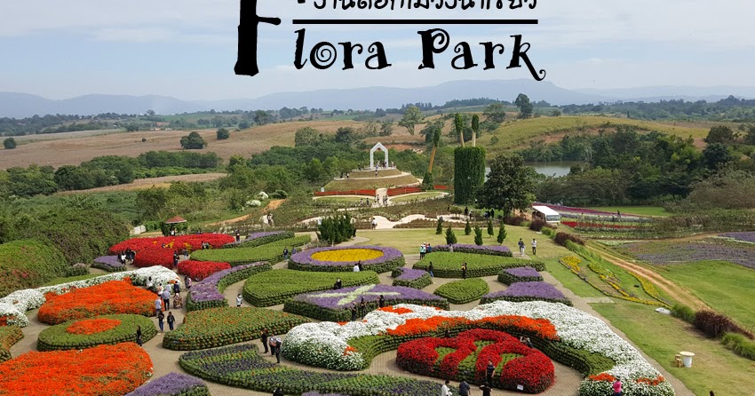Travel Focus: Flora Park งานดอกไม้วังน้ำเขียว ประจำปี 2560