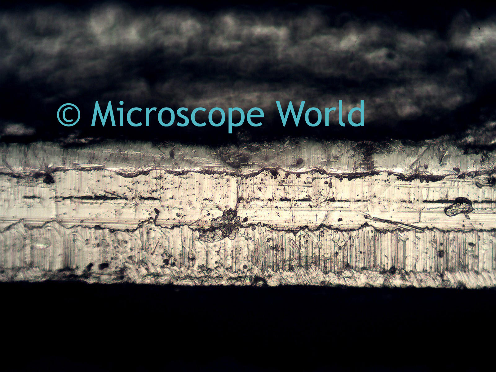 Microscope World Blog: Steel Under a Metallurgical Microscope