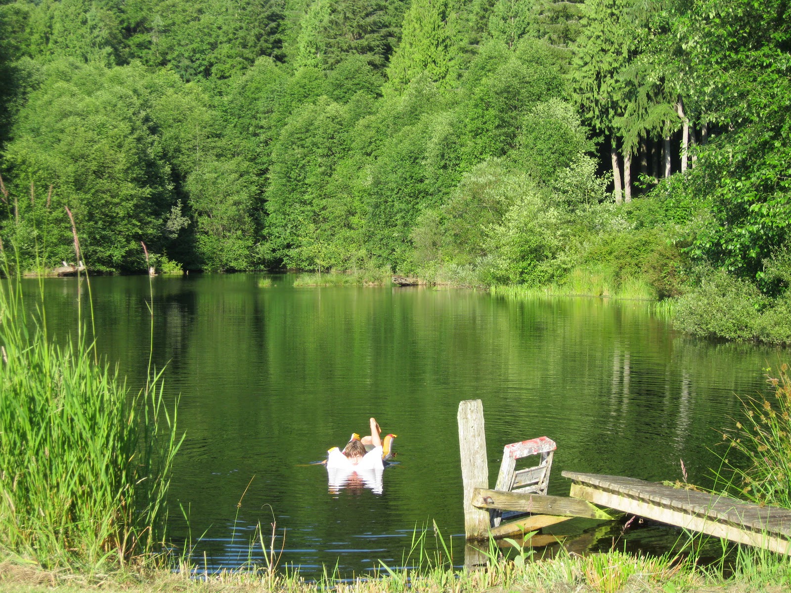 Tales from Two Islands: Fall on Whidbey Island
