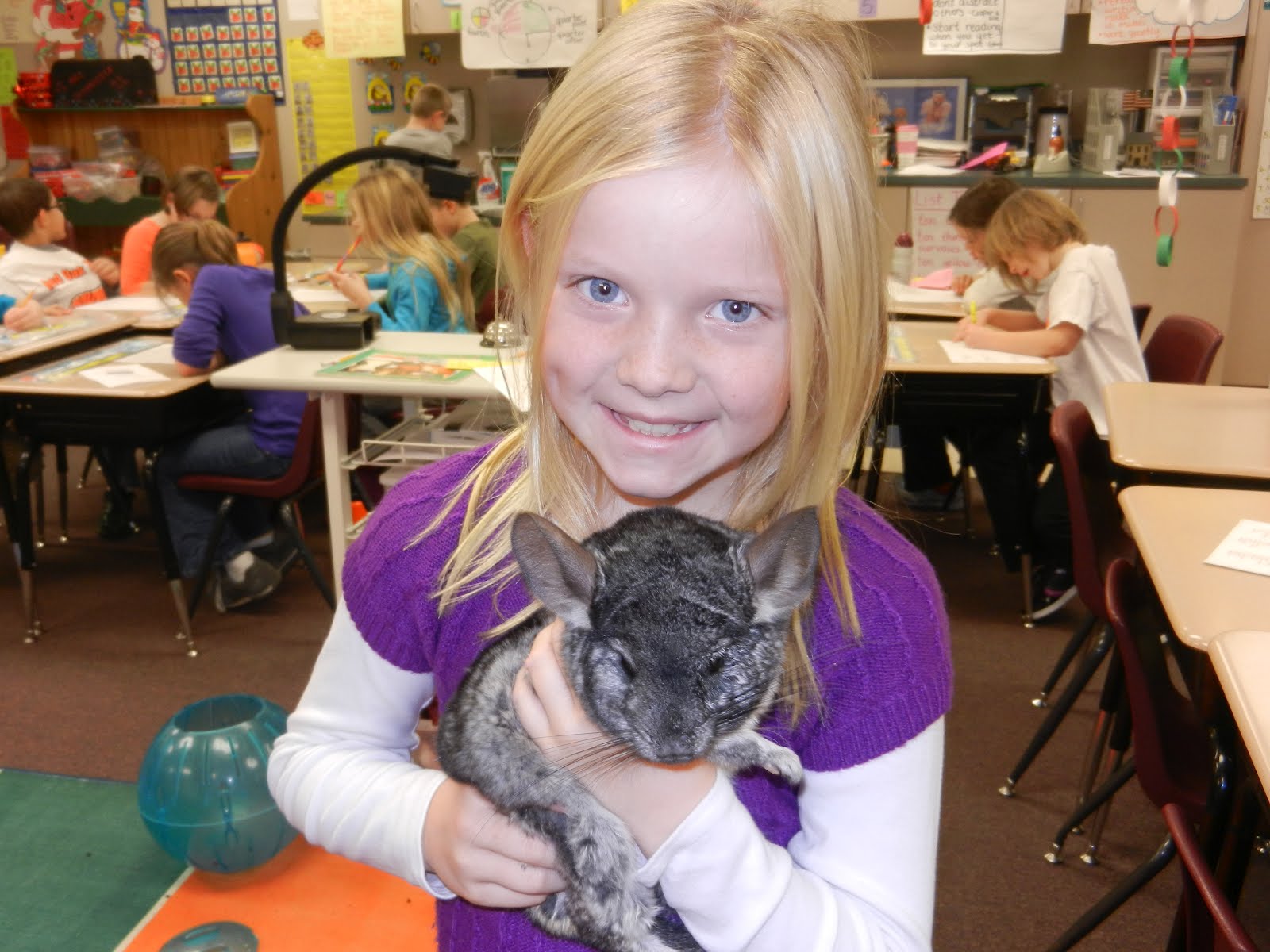 Mrs. V.'s Class: Our Class Pet