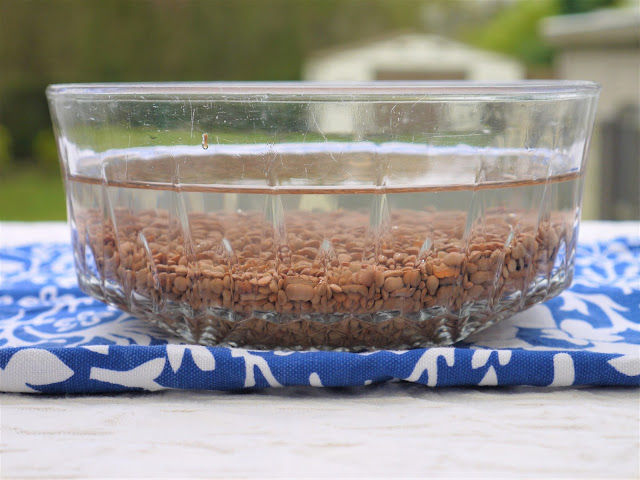 This Muslim Girl Bakes: Brown Daal.