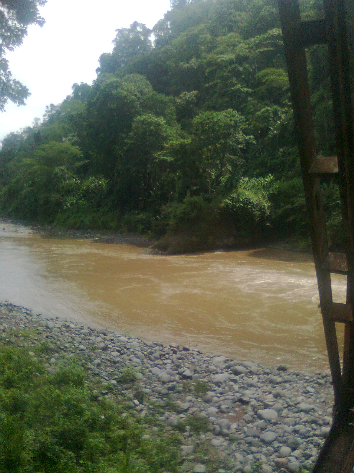 Crtrenes: Tour en tren por la Zona Atlántica (Guapiles-Limón-Valle de ...