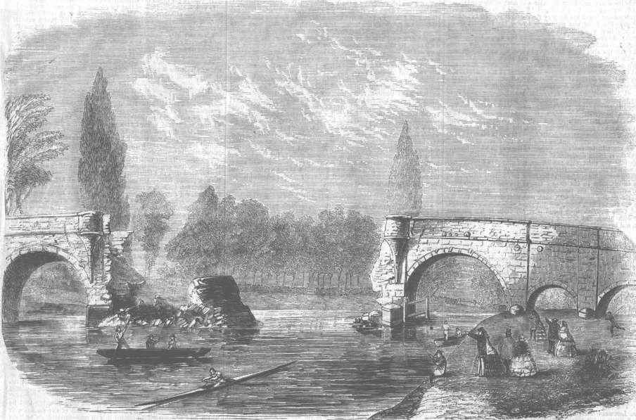 and Millie makes three: Above Eynsham Lock (River Thames) – Monday 8th May