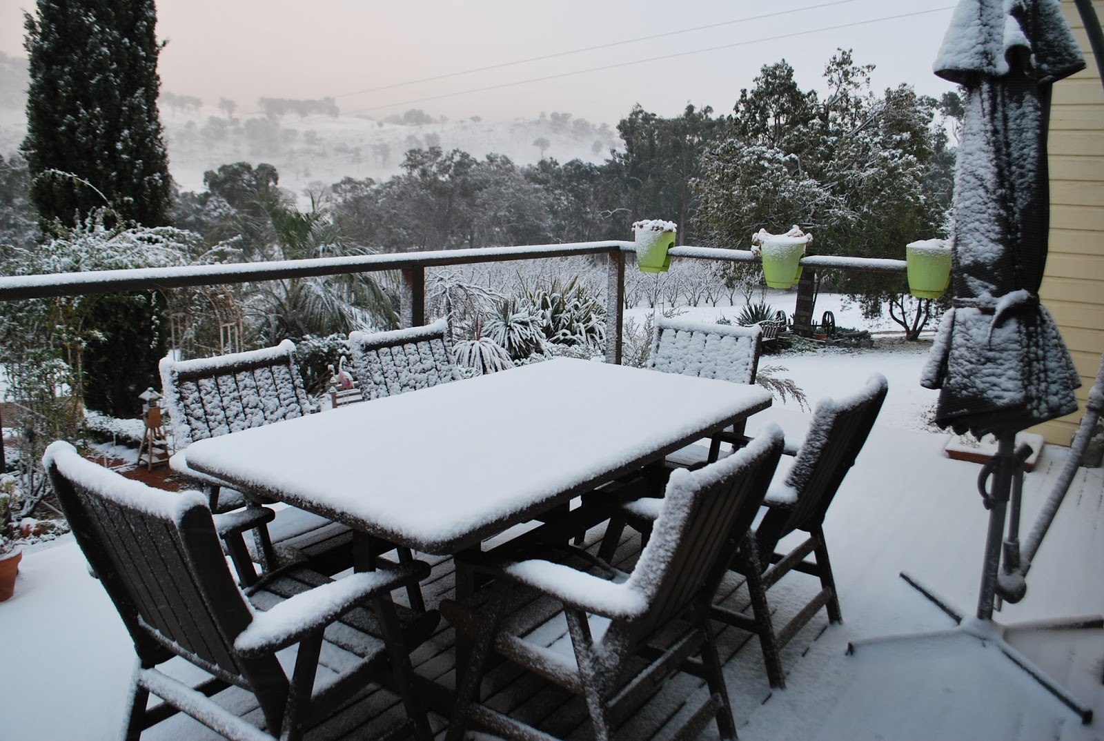 Out and About Cherry Dale: Snow at Cherry Dale Tenterfield