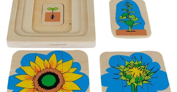 How Montessori Teaching Materials Explore and Discover the Knowledge of ...