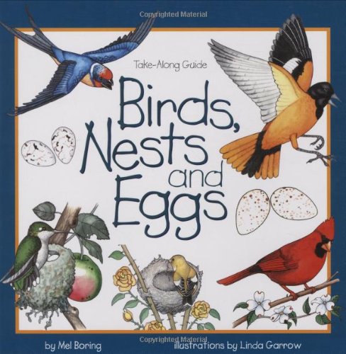 Children's Books About Birds - Every Star Is Different