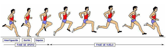 EFSEVILLA: Educar a través del Deporte.