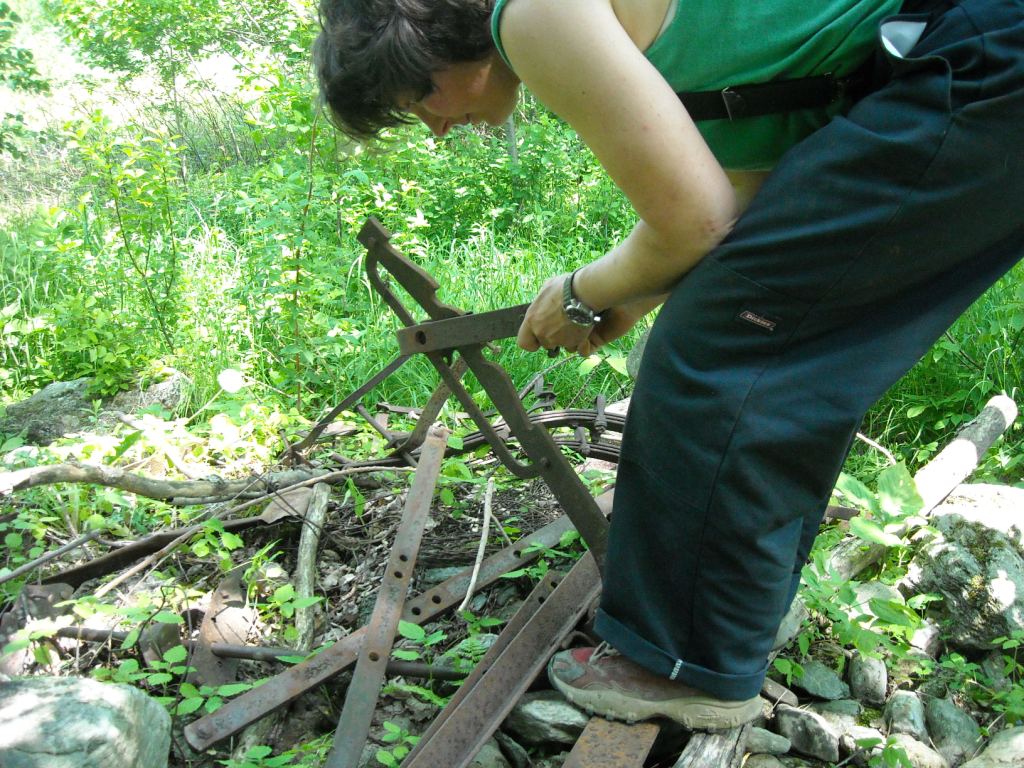 Stark Hollow Farm: Vanessa Conquers the Ancient Disc Harrow
