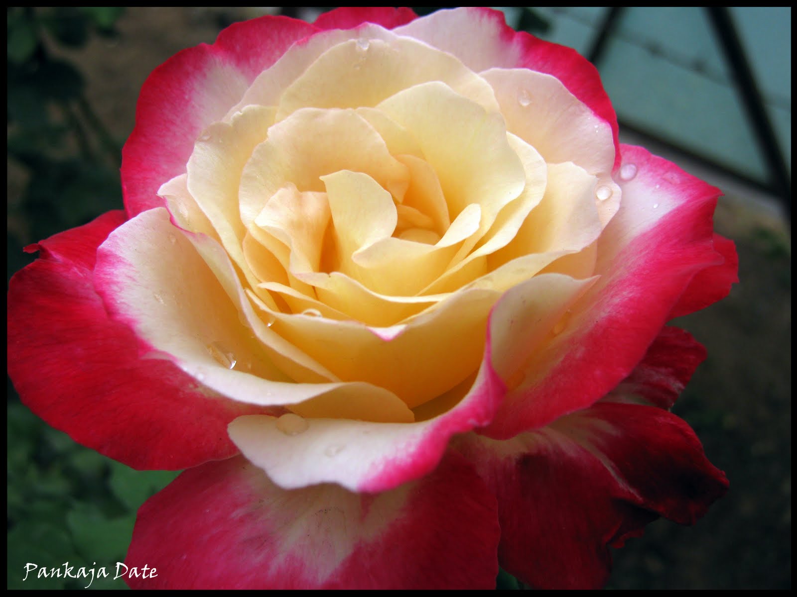 photokadha: The Field Trip (Part 1)