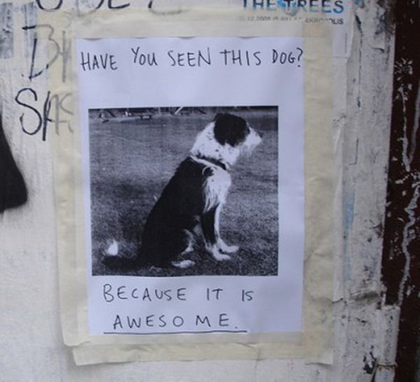 Funny Lost and Found Signs (30 Pics) | Funny Signs