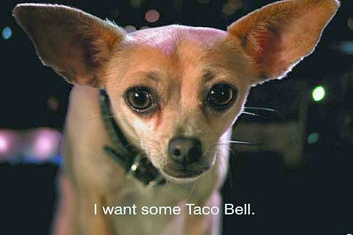 Slap The Penguin: Taco Bell unleash new chihuahua mascot