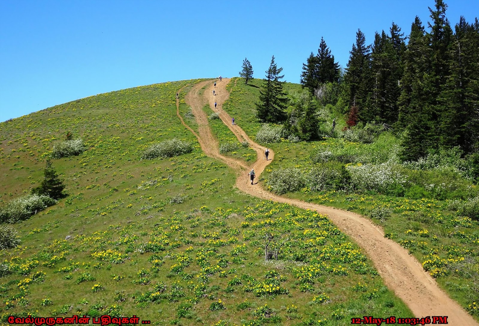 Bald Butte Hike Oregon - Exploring My Life