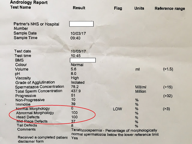 Teratozoospermia man: Day 0 - The test results