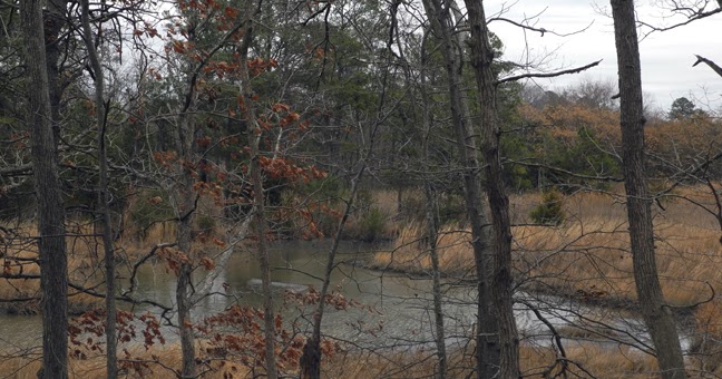 Notes Along the Way - Mary Montague Sikes: Trees - "I think that I ...