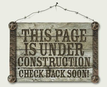 moonsplash designs...