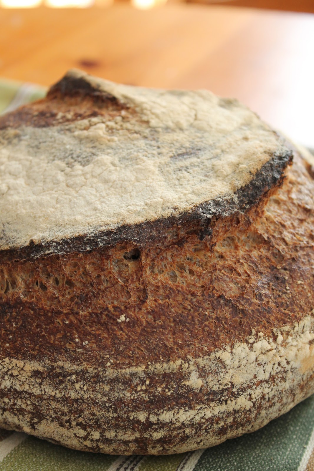 Fragments of Sulpicia (III): The 100% Whole Wheat Project, Part I