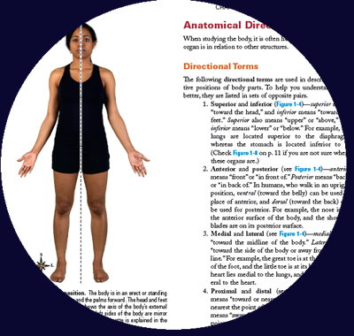 Structure & Function of the Body: New Edition of Structure & Function ...