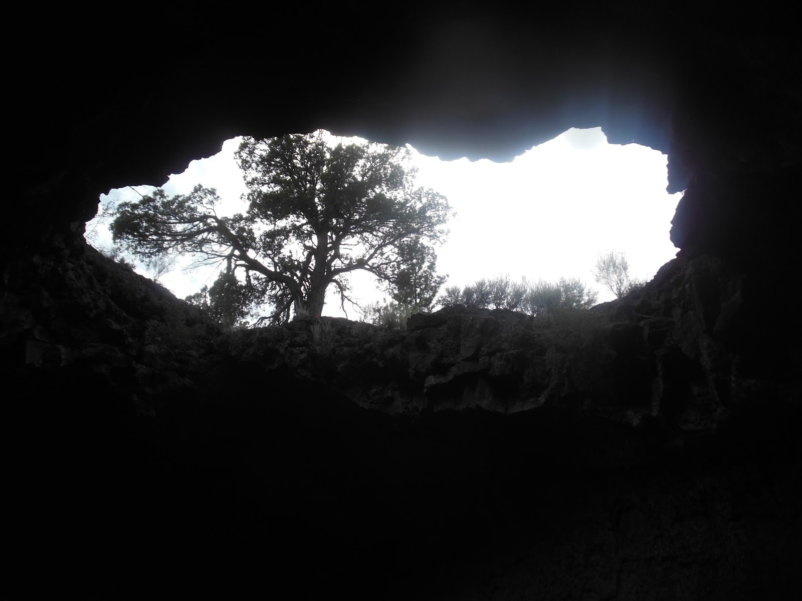 Practical Ecology: A Field NoteBlog: Derrick Caves, Lake County, OR ...