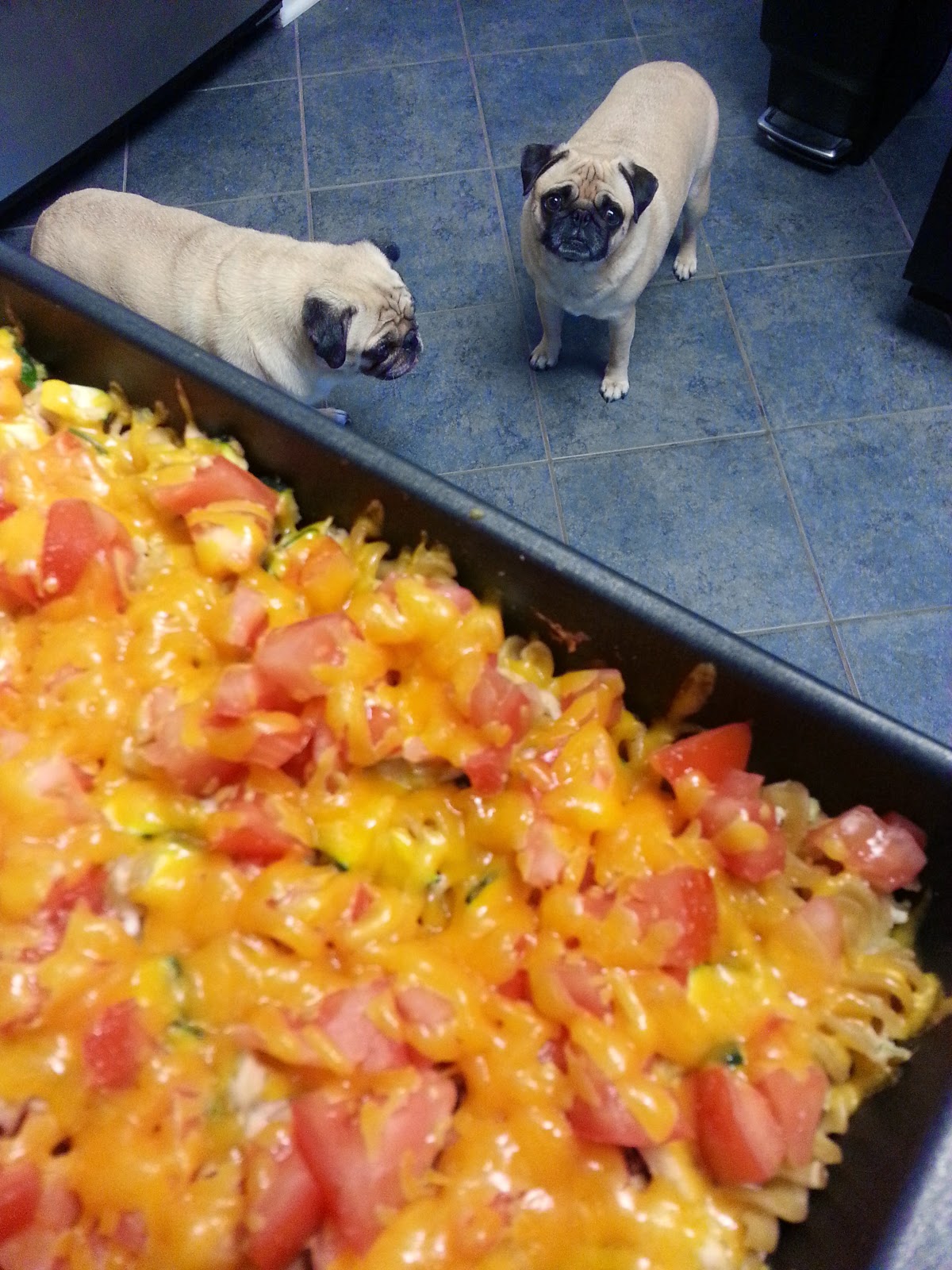 Grubbin' Pugs
