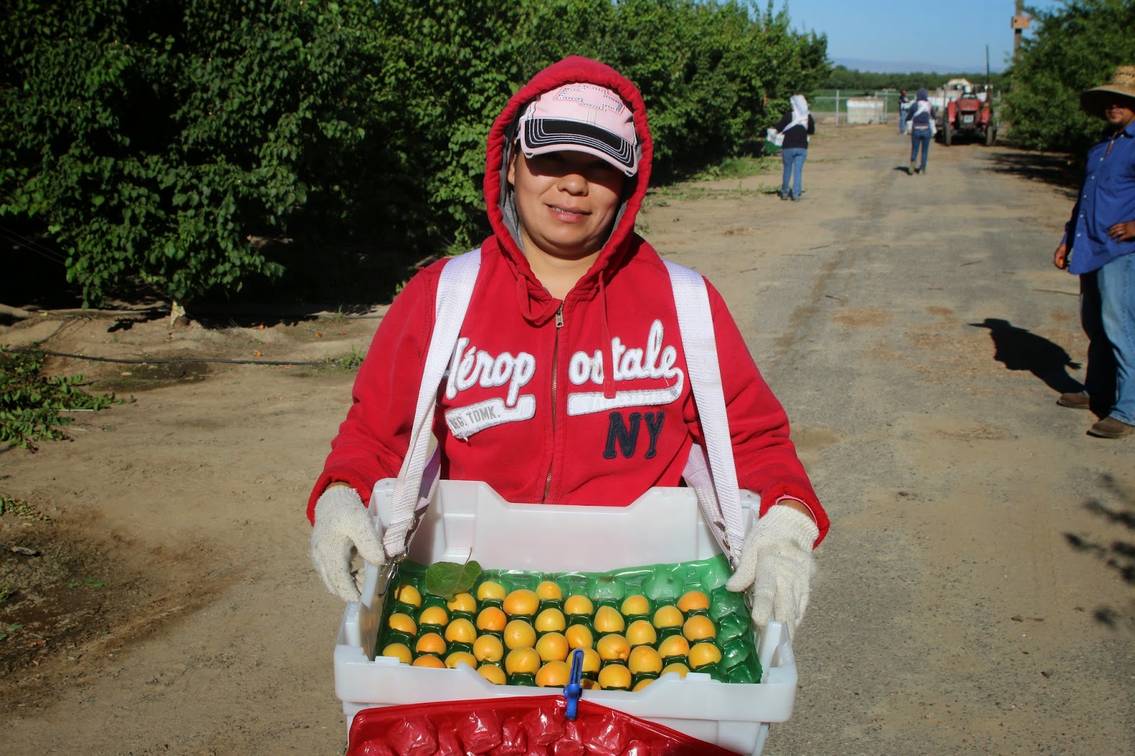 Observations of an Almond Farmer: June 2014
