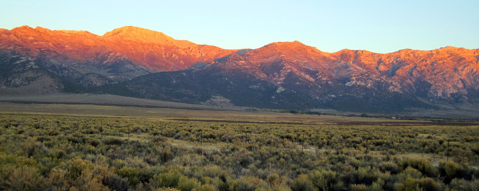 FisherDad: Northeastern Nevada - Ruby Lakes, Lamoille Creek, & Illipah ...