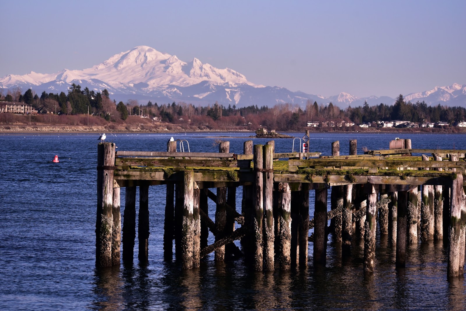 Shoreline Area News: Destinations: Semiahmoo resort