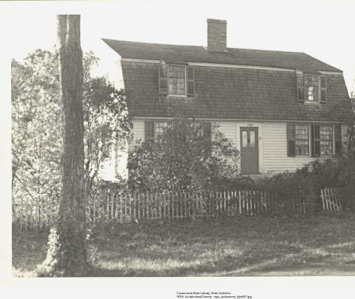 Focus On Killingworth, CT and Surrounding Towns: The Birds Of Killingworth