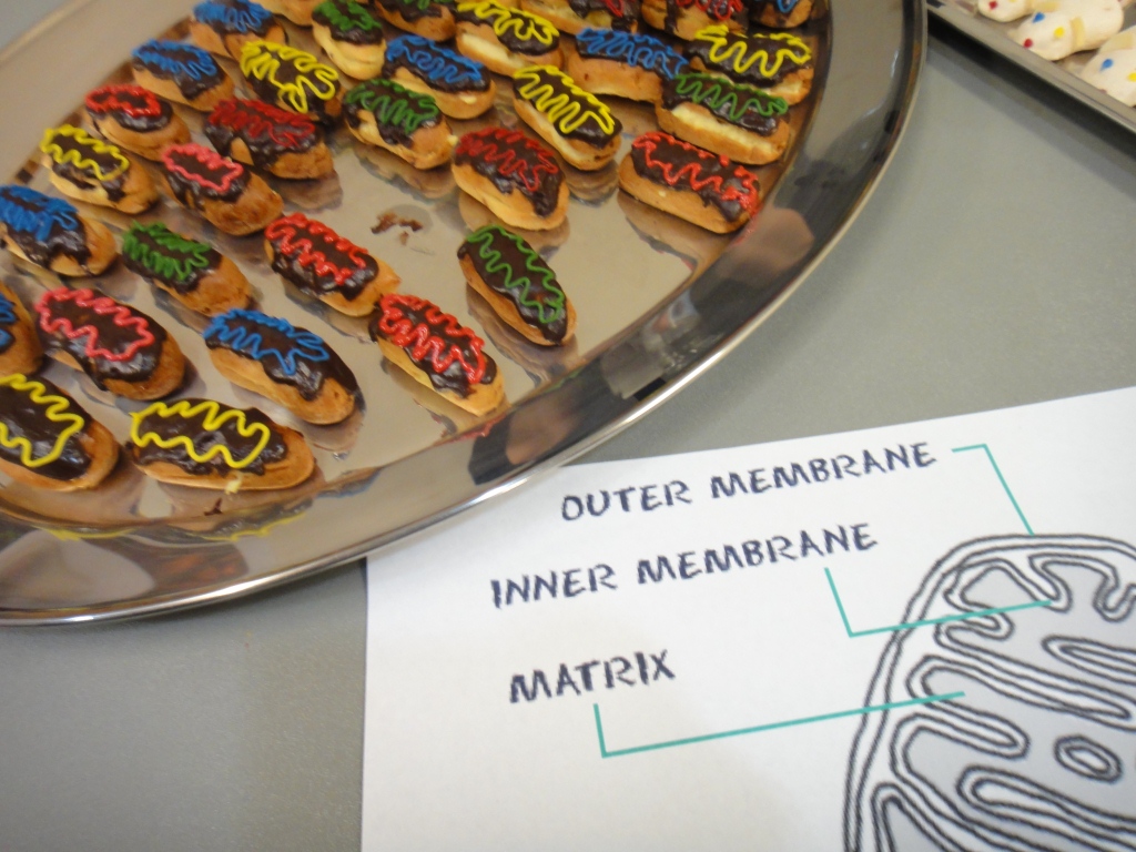 Divine Comedy of Errors: Science baking competition