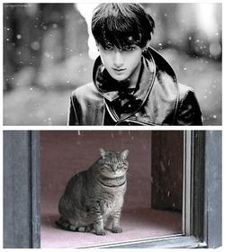 Seoul in My Spirit: EXO macros and GIF for you~...