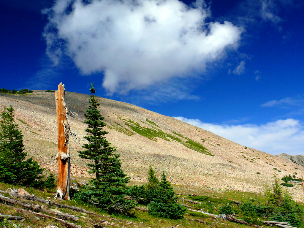 It's HD | Animals-Funny-Wallpapers: images