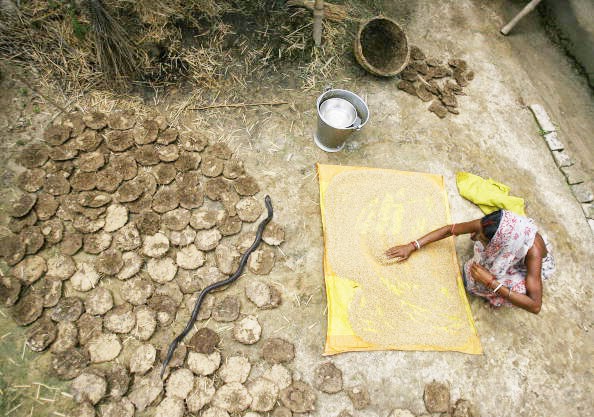 Shetpal - Alchetron, The Free Social Encyclopedia