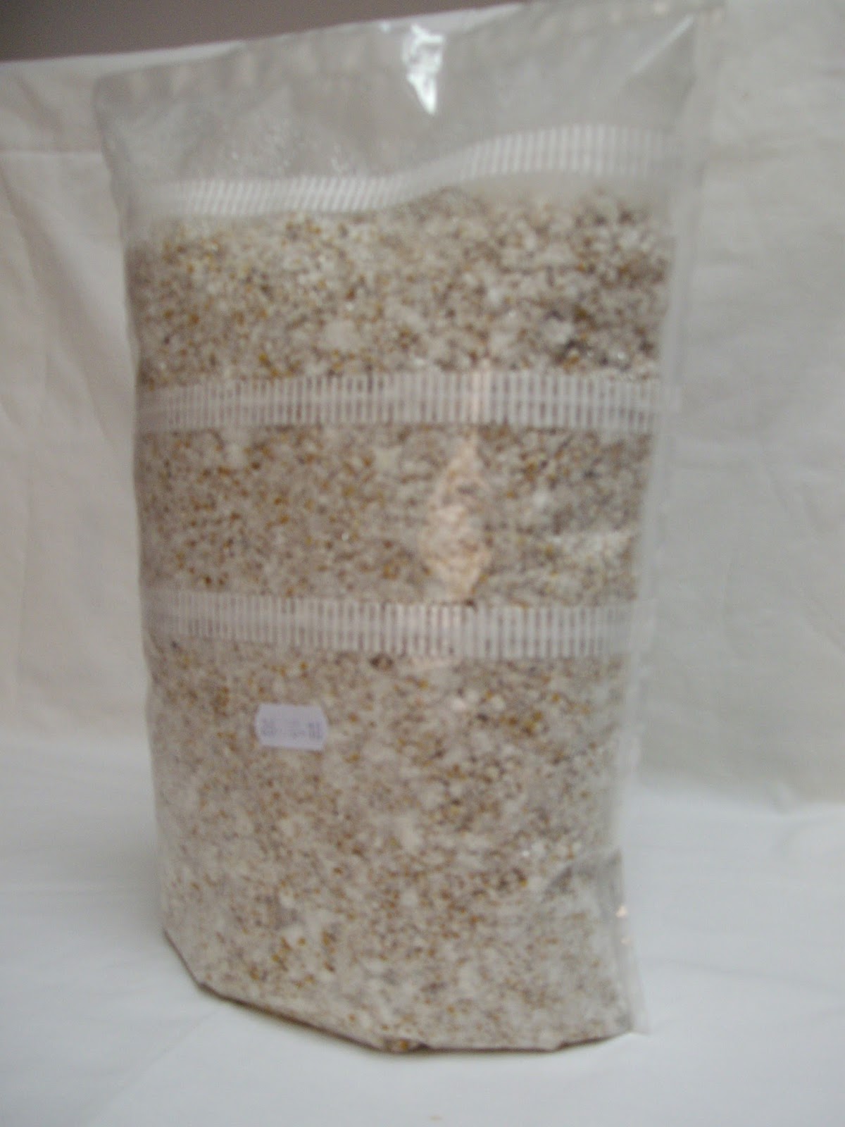 Arta Cultivarii Ciupercilor: Miceliu Italspawn