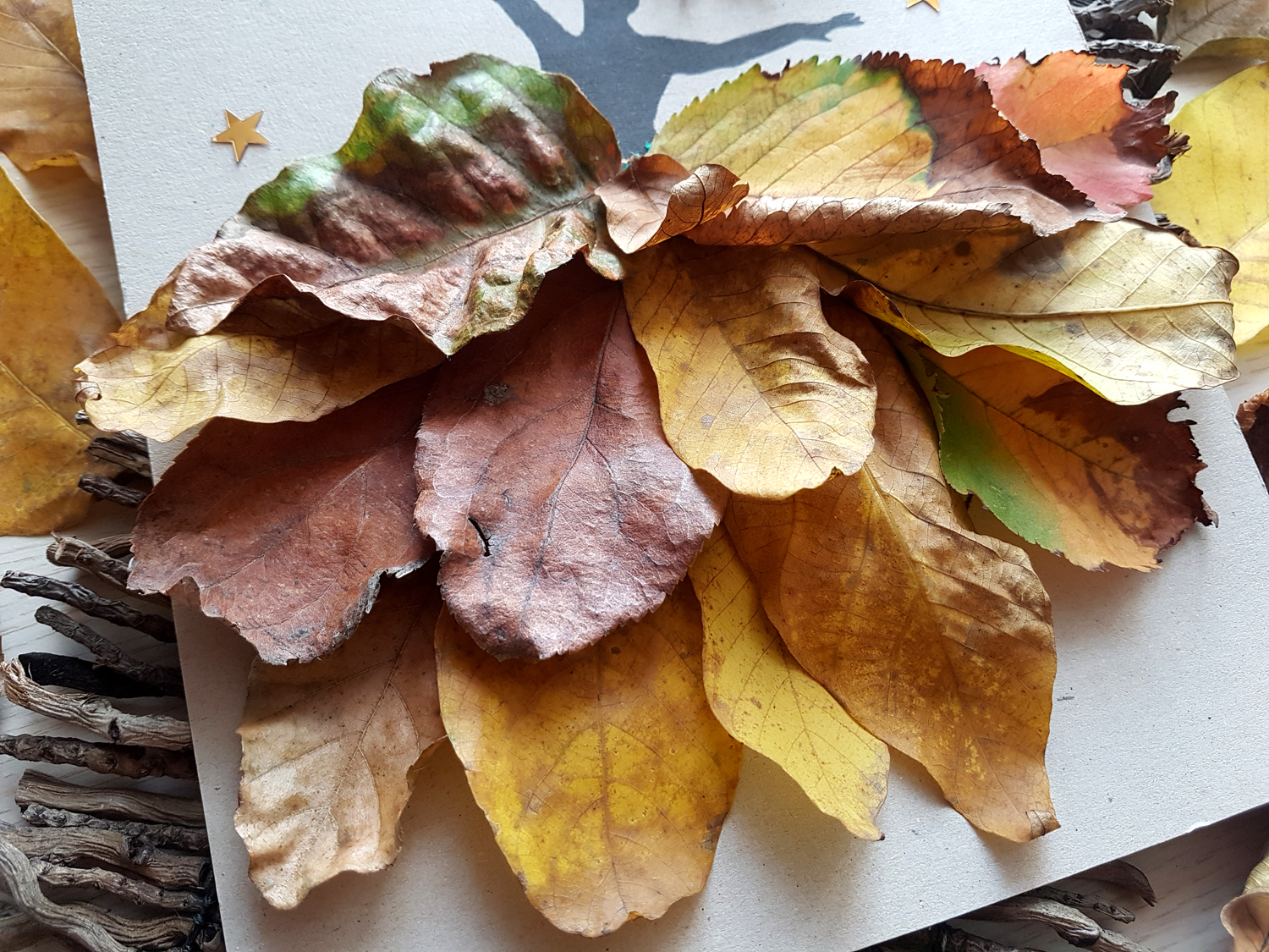 Nasze Bąbelkowo. Macierzyństwo. Miłość. Adopcja. : Jesień - prace ...