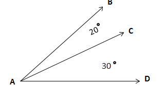 Bro and Sis Math Club: Adjacent Angles