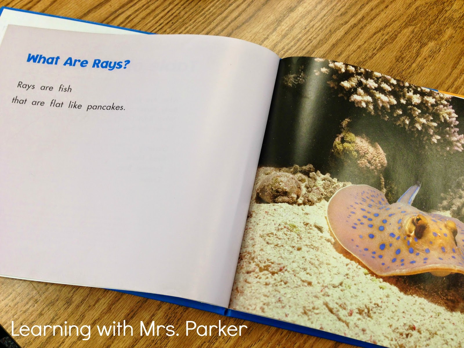 Beginning Reader Nonfiction Books - Learning With Mrs. Parker