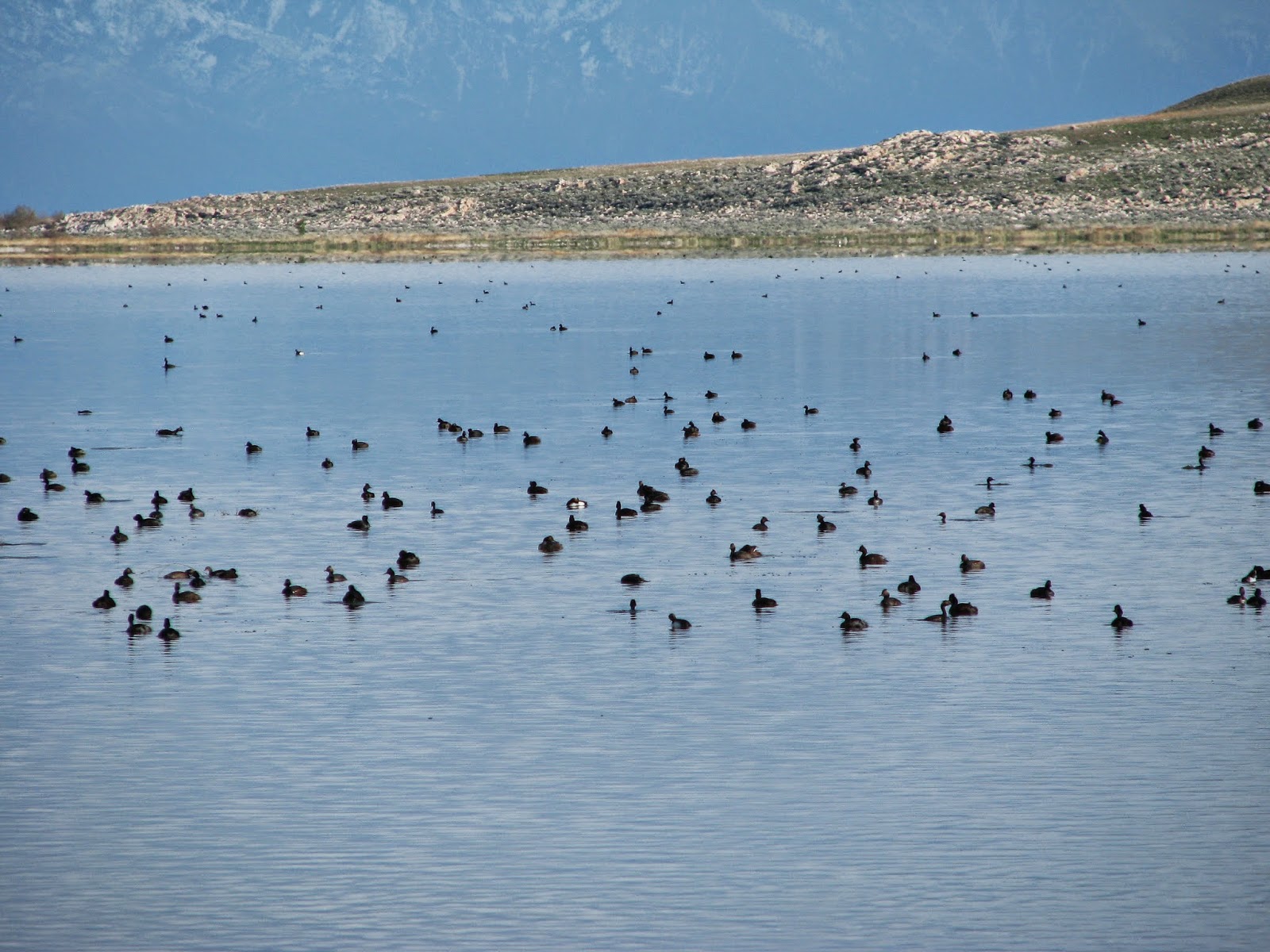 Mitchell Family Blog