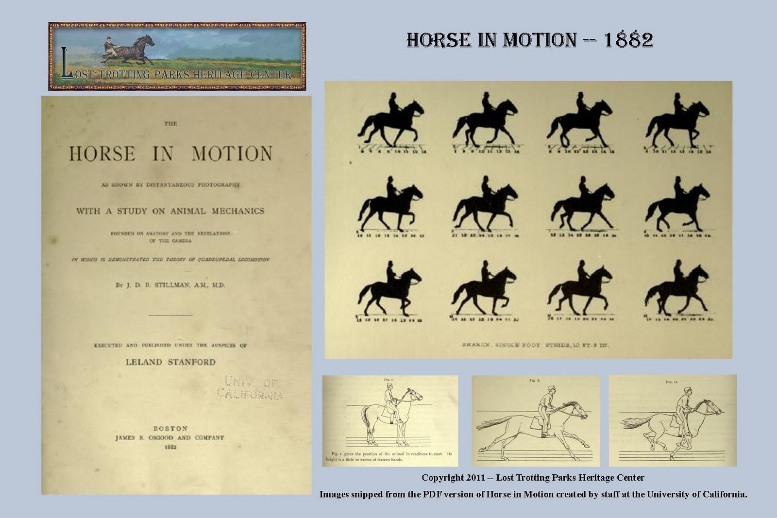 The Lost Trotting Parks Heritage Center -- Storyboard Archives: Horse ...