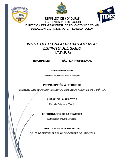 | Informe de Practica Profecional