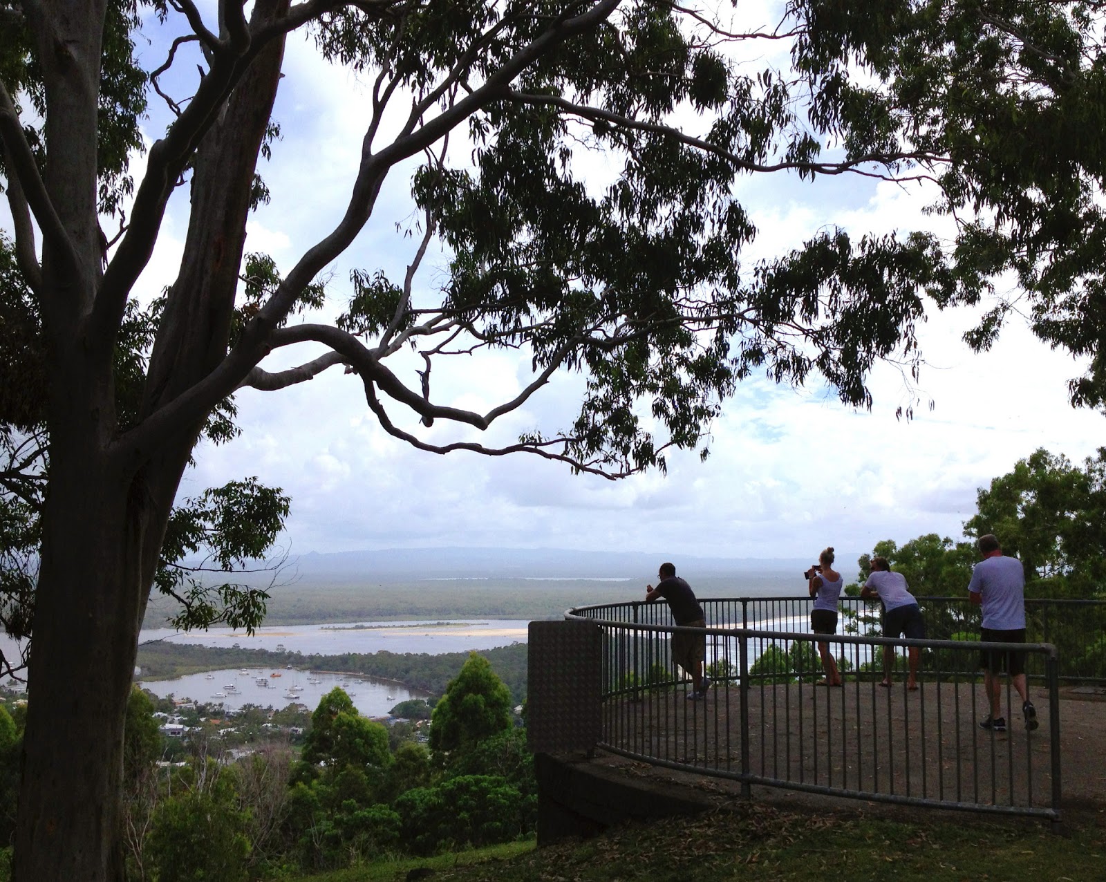 Arbor Day Aussie Style | SToNZ