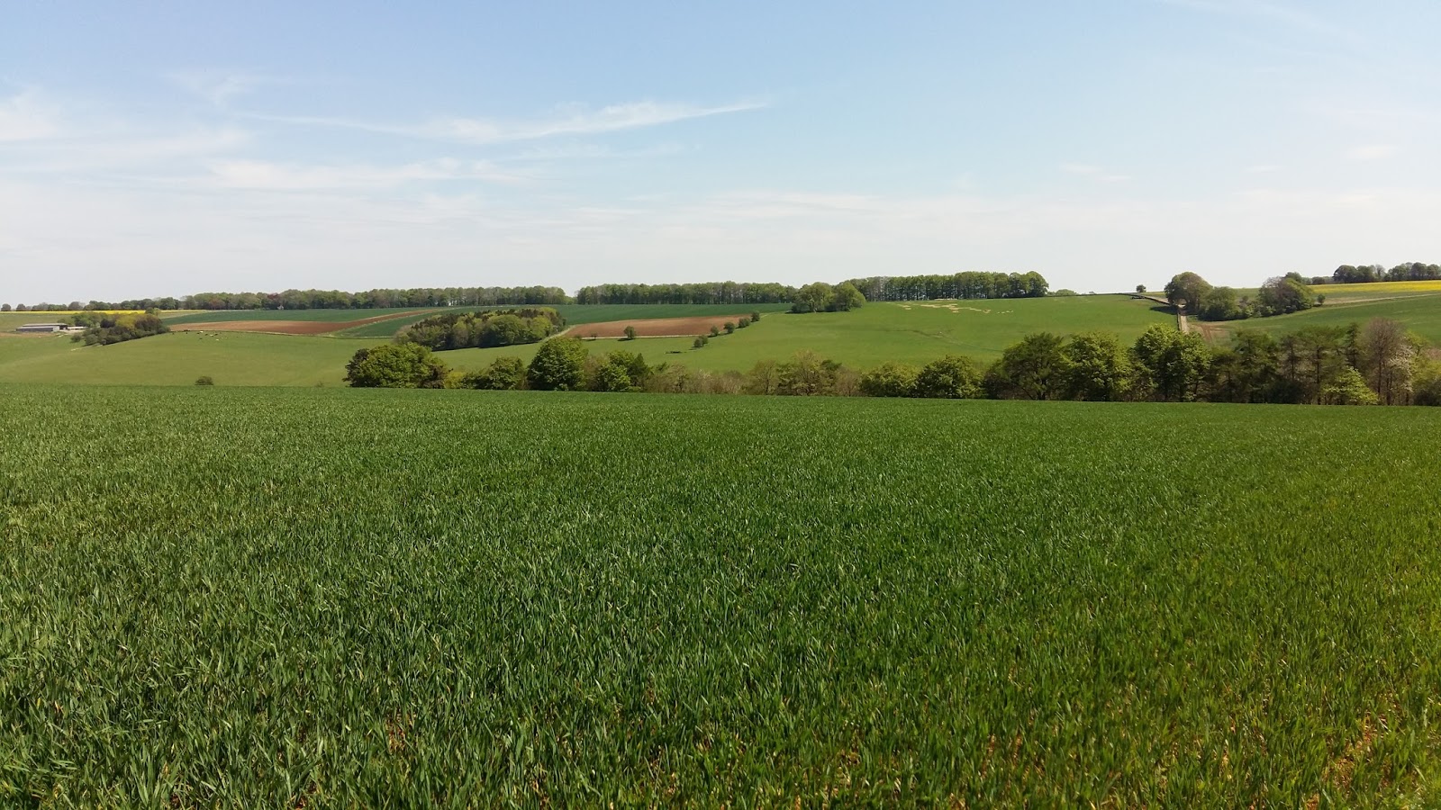 Cotswolds Travel: Idyllic Circular Walk Around Turkdean, Hazelton, and ...