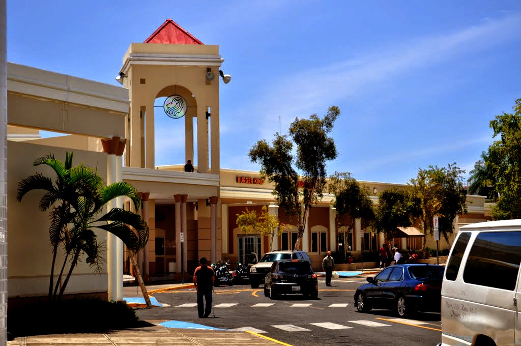 NOTICIAS SUR P.R.: Fallece a los 107 años la líder nacionalista Isabel ...