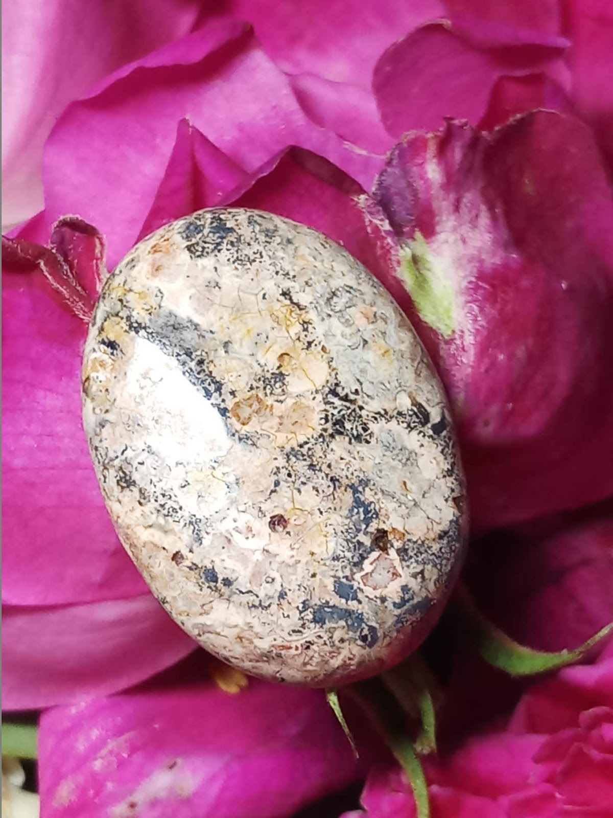 MUSTIKA TELUR ULAR - PUSAT BENDA BERTUAH