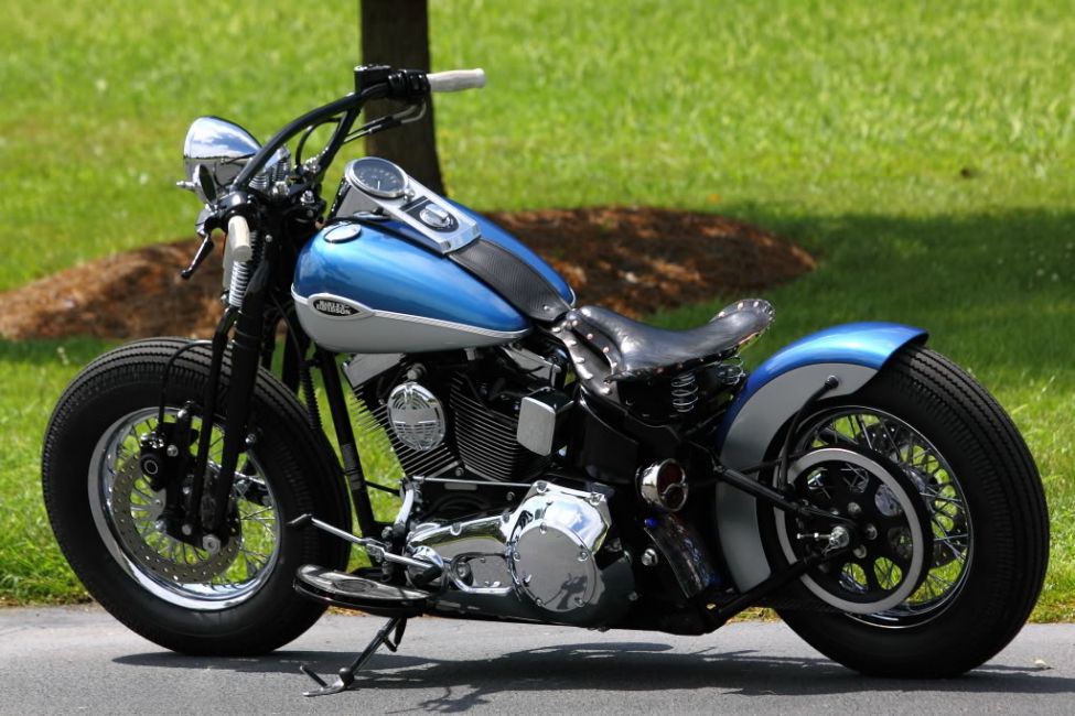 MOTOROLOS EL HONGO: Springer bobbers