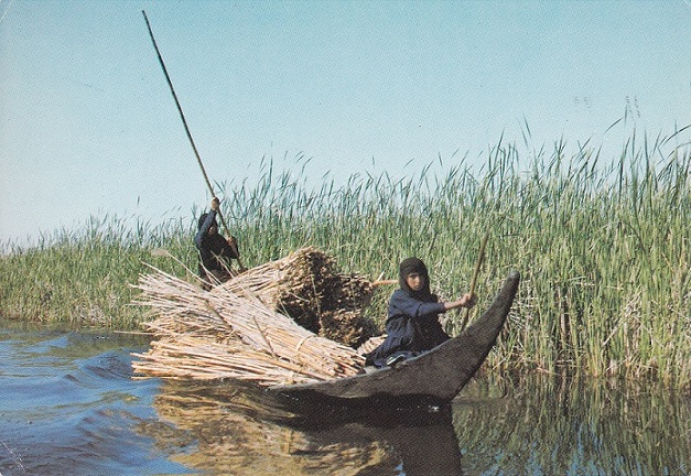 Unesco Postales : Refugio de biodiversidad de los “ahwar” y paisaje ...