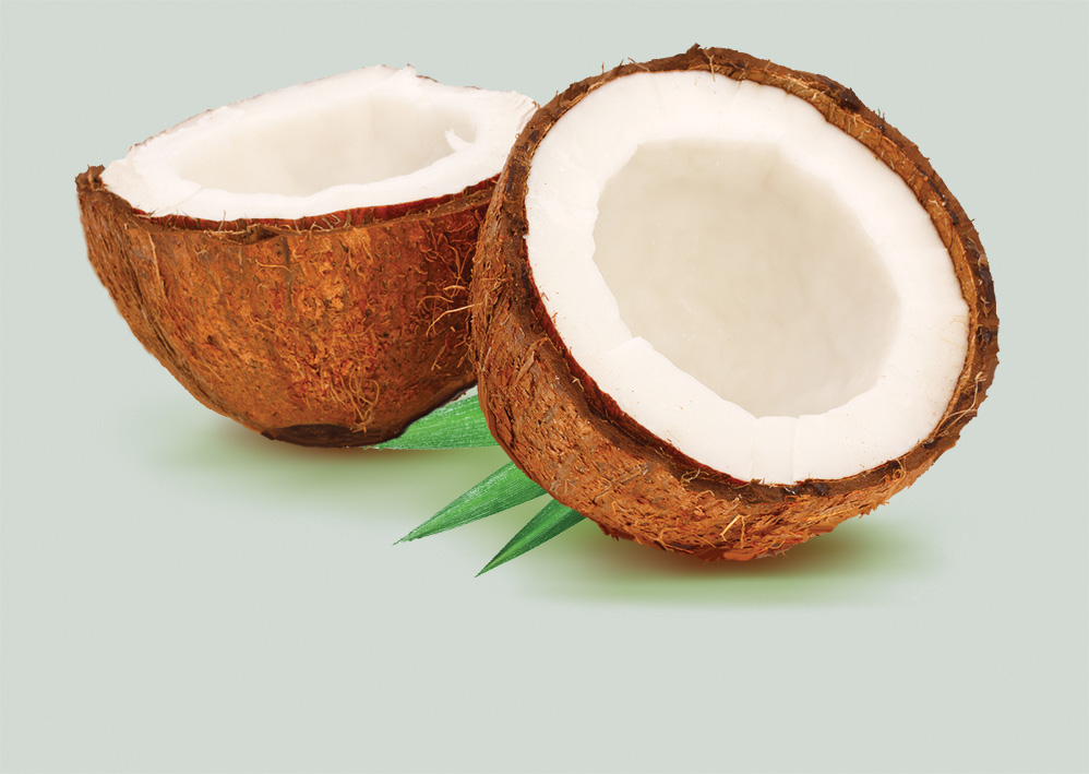 Kanitz: Os benefícios do coco para a sua pele