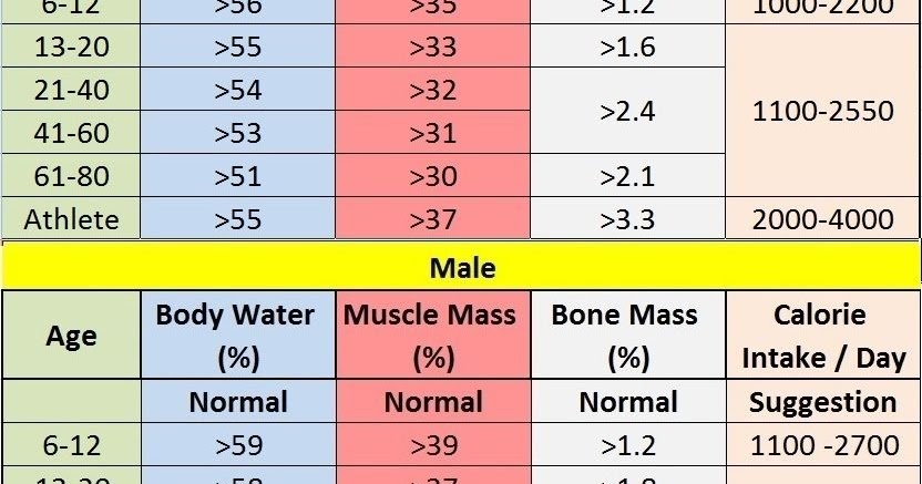 Muscle Mass Chart