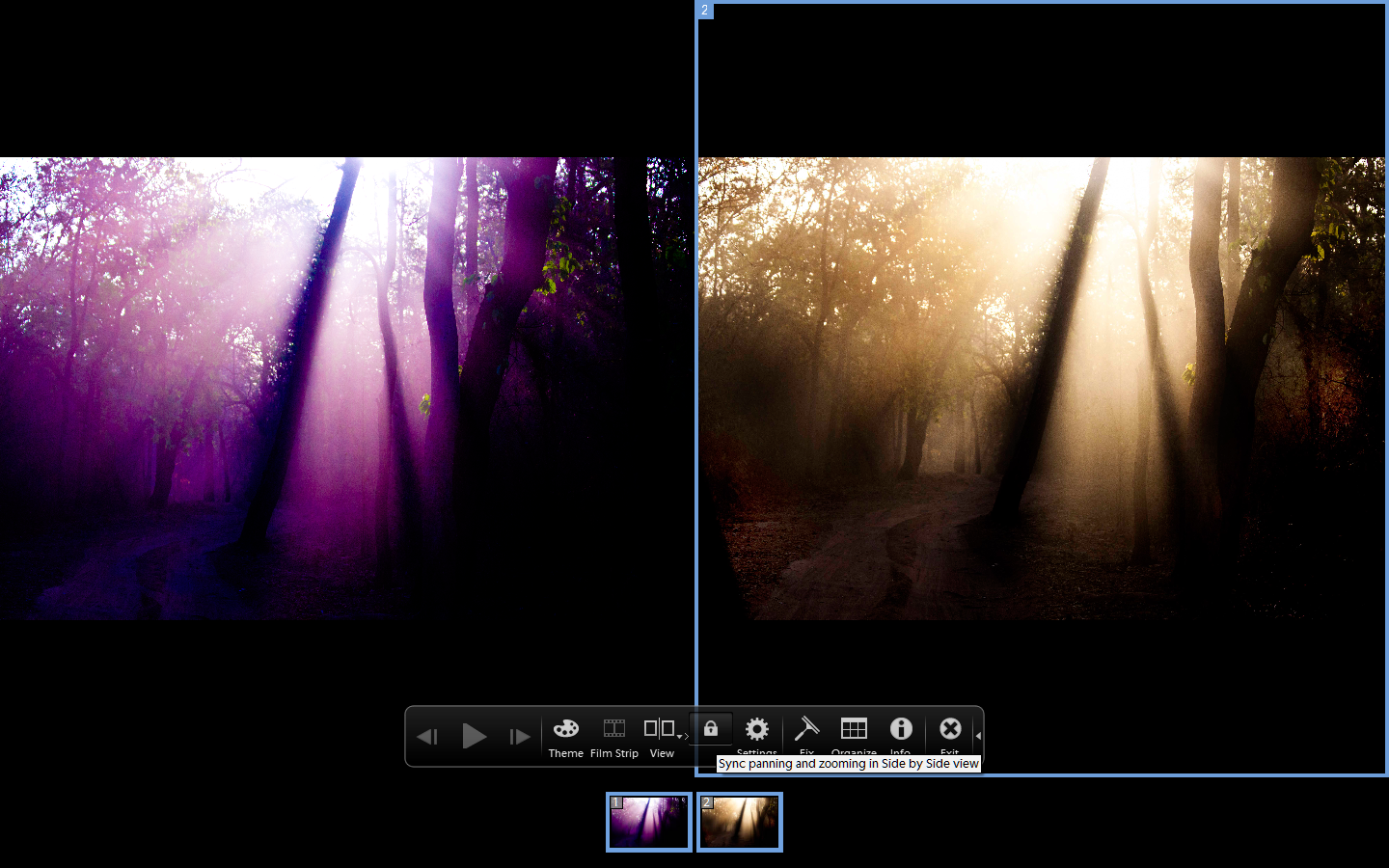 Tips and tricks for Photoshop Elements: Is there a way to compare two ...