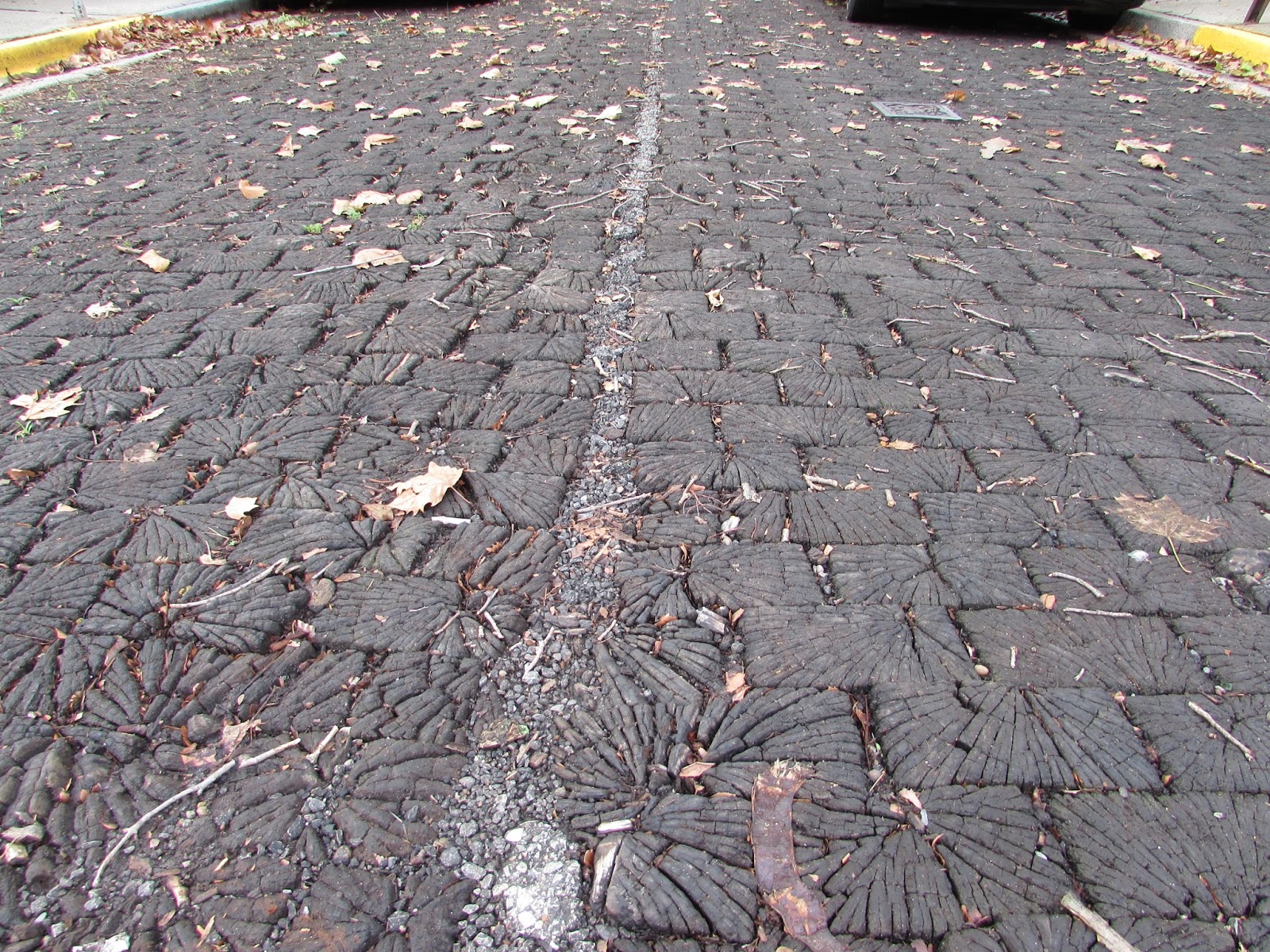 Columbia History Buff: Streets Paved with Wooden Blocks?