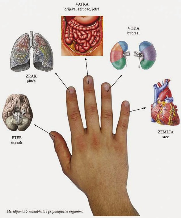 TIJELO NAM STALNO DAJE ZNAKOVE GDJE NAS NAPADA NEKA BOLEST ...